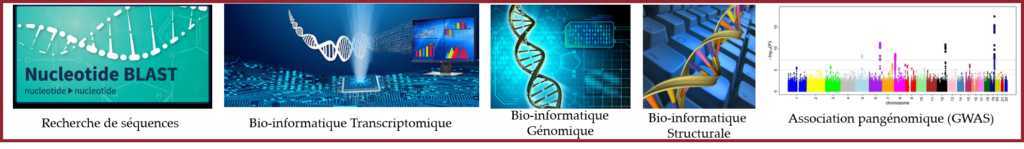 Bioinformatique – Université de Paris Master biologie moléculaire et ...